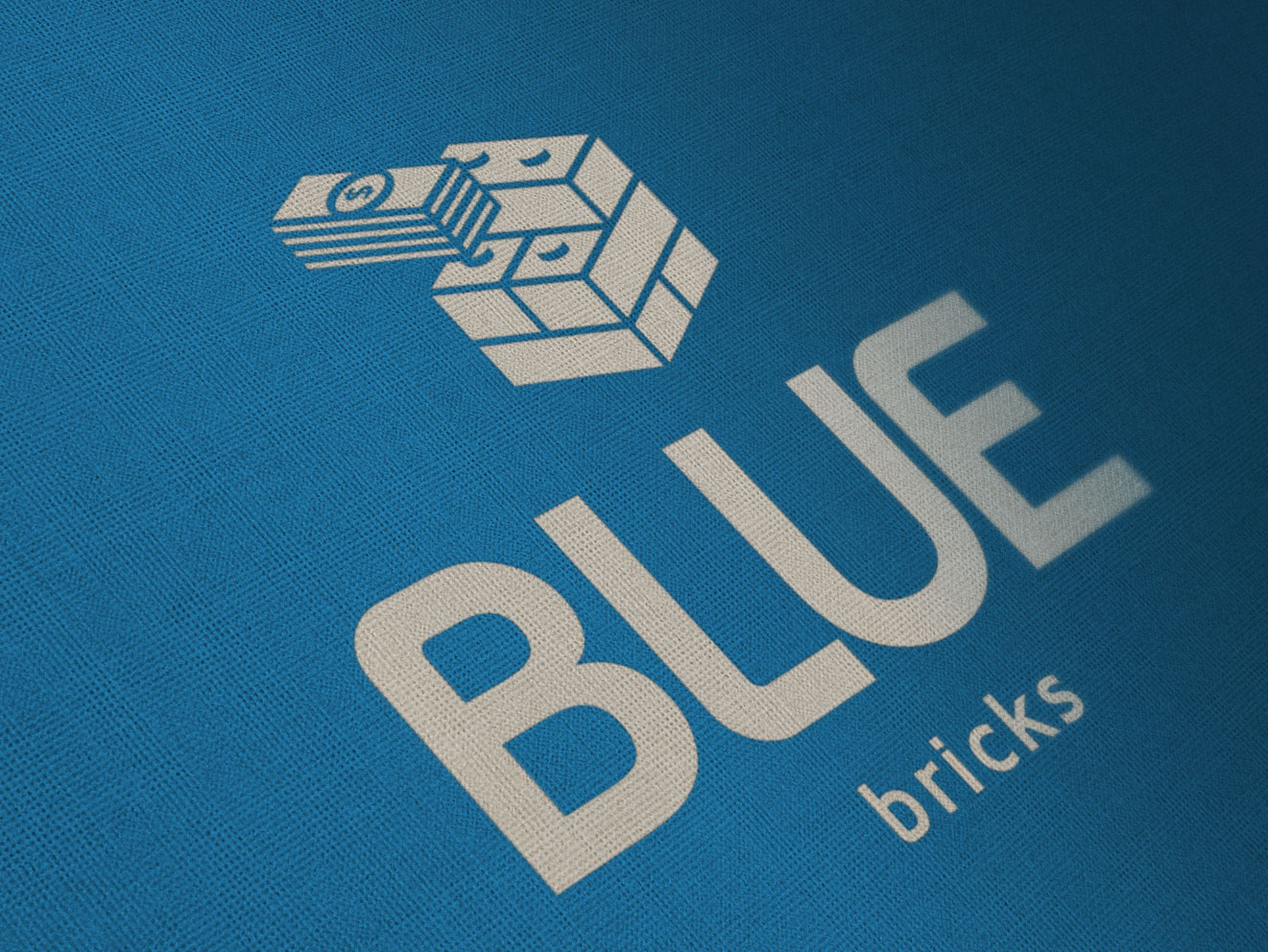 [Blue Bricks] Diseño de Logotipo | DYL Online Digital Media